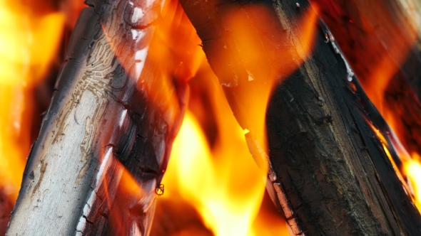 Fire, Stock Footage | VideoHive