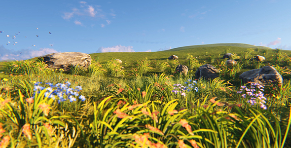 3D Graphics Background Field Plants, Motion Graphics | VideoHive