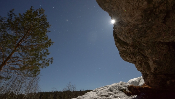 Moonlit Night In a Forest Cave., Stock Footage | VideoHive