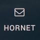 Hornet - Email Template, Web Elements | GraphicRiver