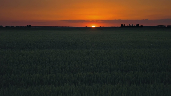 Sunset Over Nature Lawn Field With Clouds, Stock Footage | VideoHive