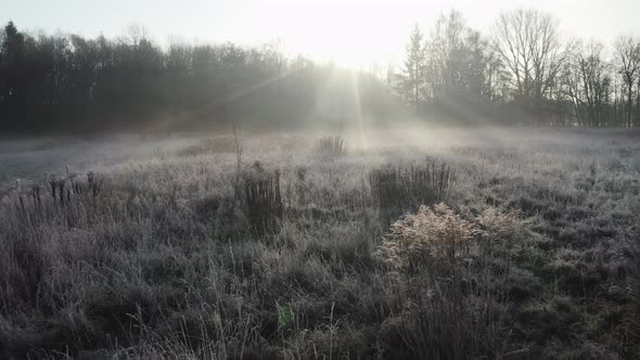 early morning winter landscape, tracking shot over frost-covered field ...