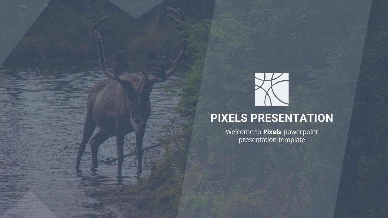 Pixels Powerpoint, Presentation Templates | GraphicRiver