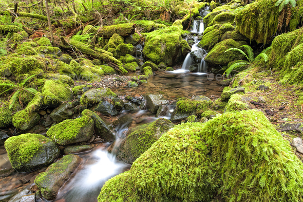 Cascades and small pools in a stream. - Stock Image - Everypixel