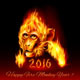 Fire Monkey, Vectors | GraphicRiver