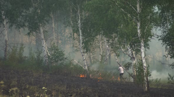 Forest Fire. Extinguishing the Flame.people, Stock Footage | VideoHive