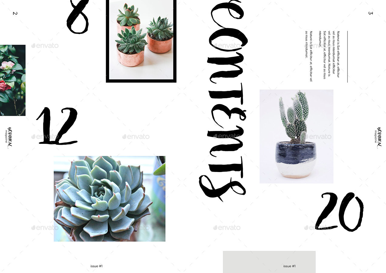 Botanical Magazine 30 pages, Print Templates | GraphicRiver