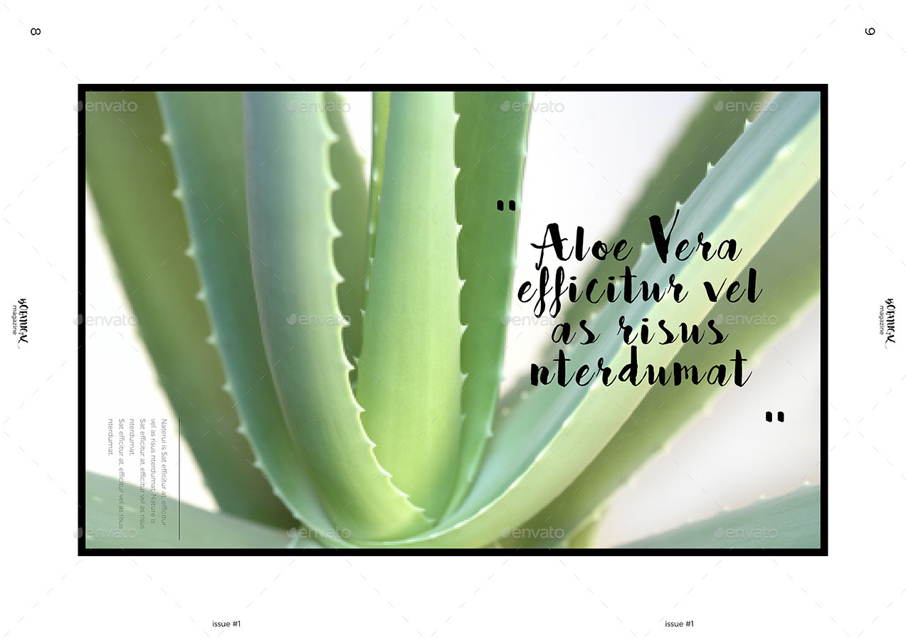 Botanical Magazine 30 pages, Print Templates | GraphicRiver