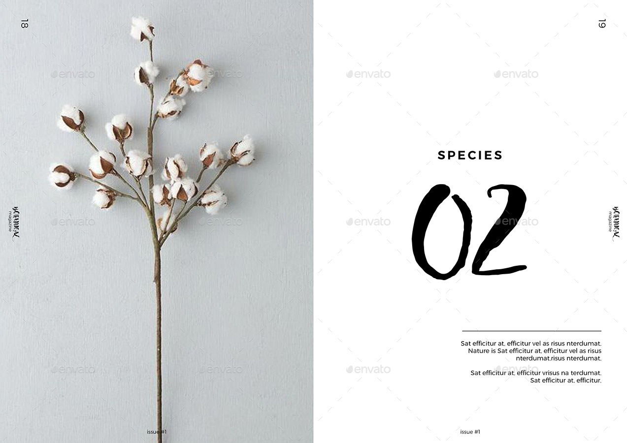 Botanical Magazine 30 pages, Print Templates | GraphicRiver