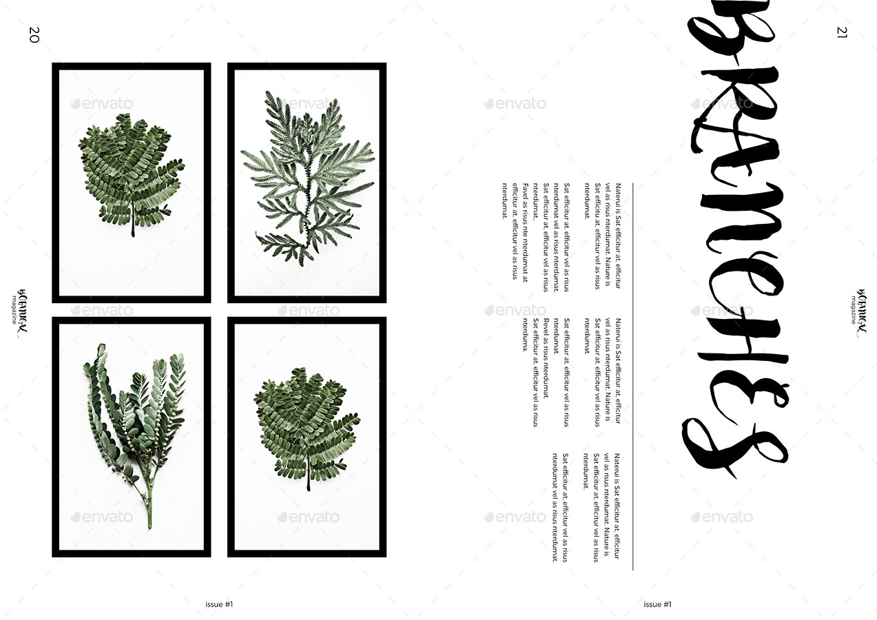 Botanical Magazine 30 pages, Print Templates | GraphicRiver