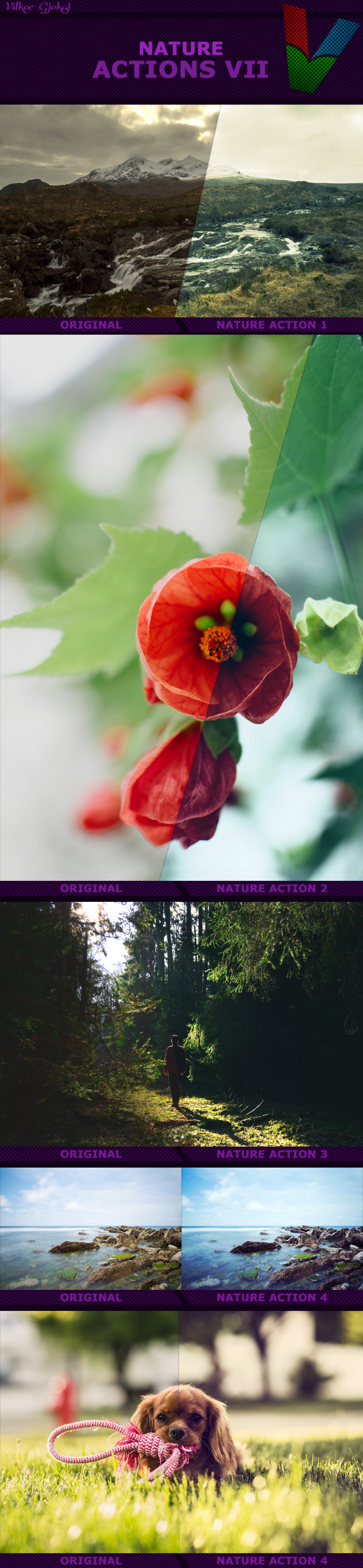 July Photoshop Actions Bundle, Add-ons | GraphicRiver