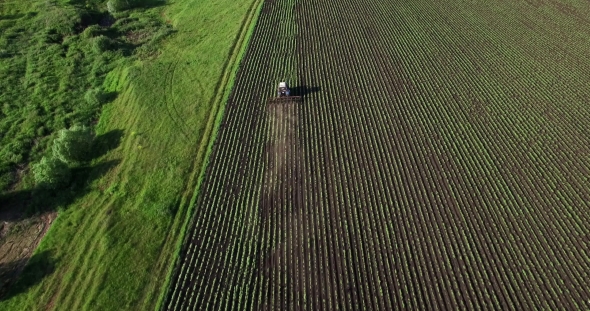 Tractor Plowing a Field, Stock Footage | VideoHive