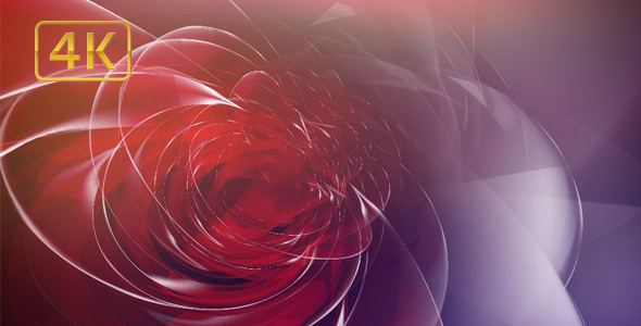 Flower Line Background, Motion Graphics | VideoHive