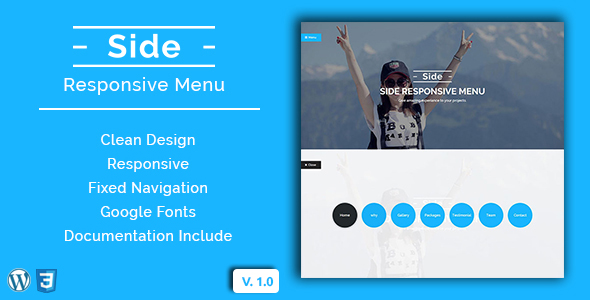 Side - Wordpress Responsive Menu by 6themespro | CodeCanyon