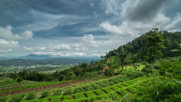 Panoramic View Of The Cascade Field In The Mountains. - Java, Indonesia ...