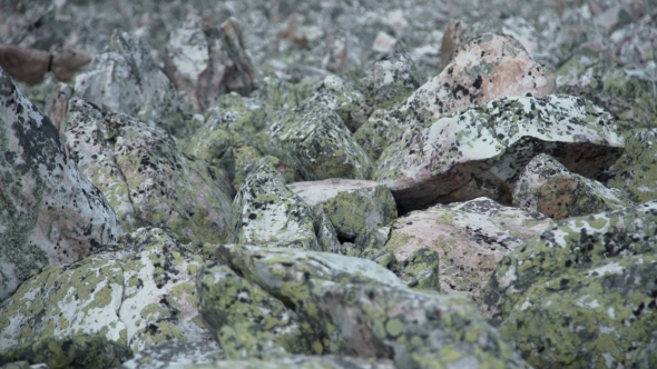 The Stone River In The Urals, Stock Footage | VideoHive