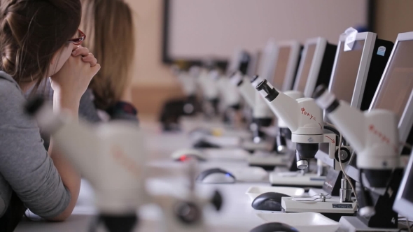 Group Of Students Sit In Laboratory Looking At Whiteboard., Stock Footage
