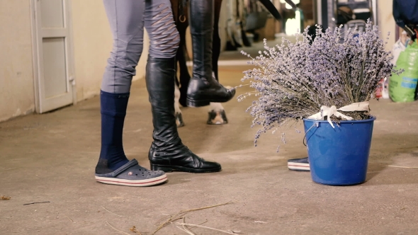 The Guy Wears Riding Boots, Stock Footage | VideoHive