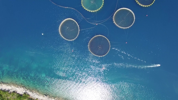 Aerial View Of Fish Farm Near The Island Of Dugi Otok, Stock Footage