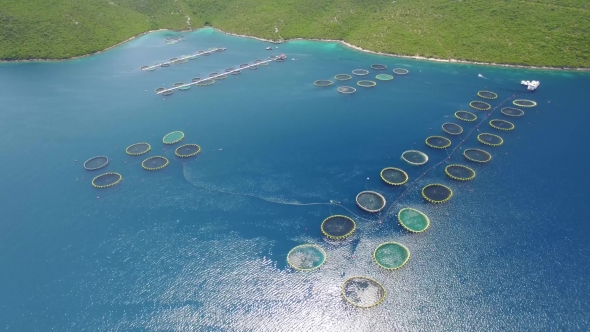 Aerial View Of Fish Farm Near The Island Of Dugi Otok, Stock Footage