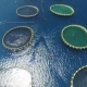 Aerial View Of Fish Farm Near The Island Of Dugi Otok, Stock Footage