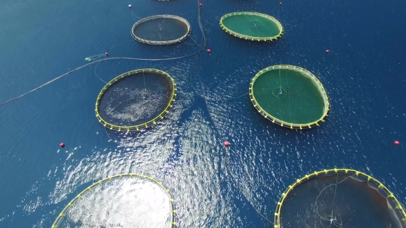 Aerial View Of Fish Farm Near The Island Of Dugi Otok, Stock Footage