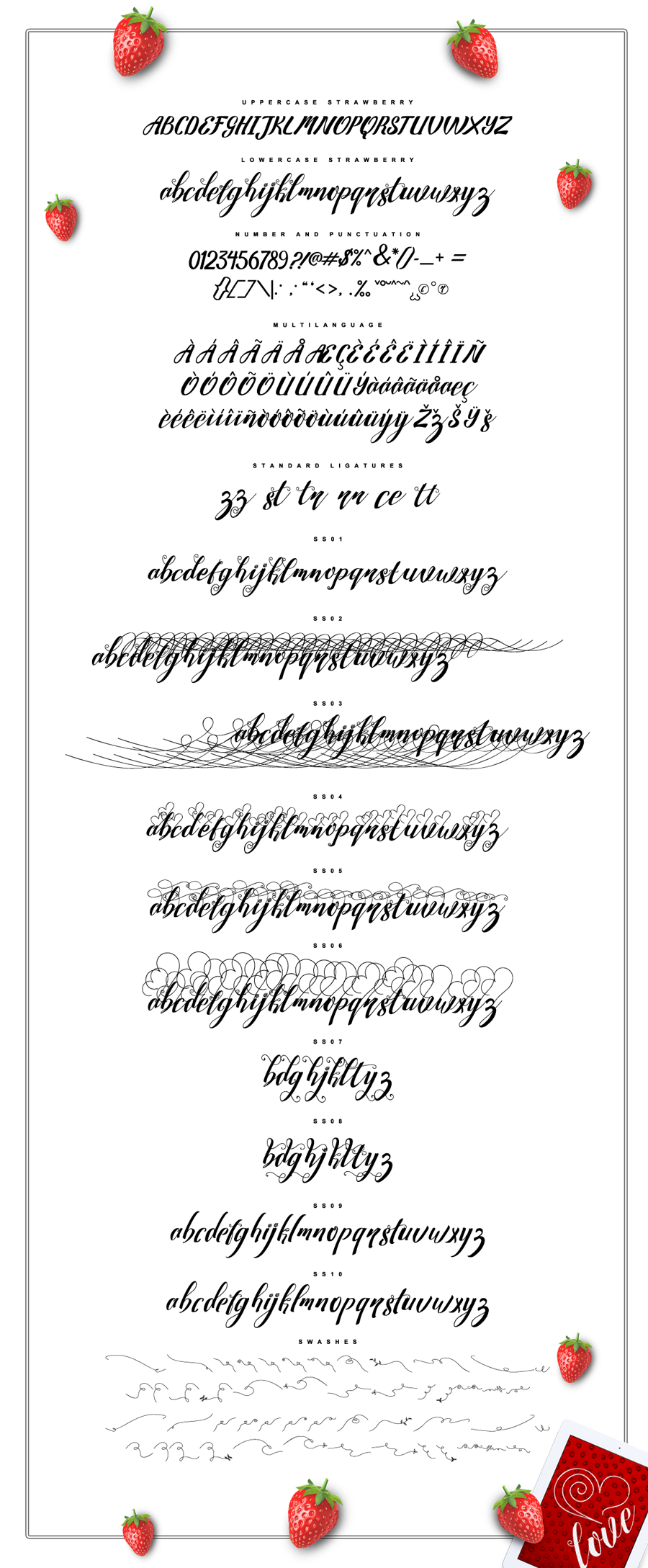 Strawberry Family, Fonts | GraphicRiver