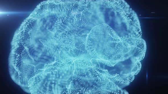 Rotating Hologram of Human Brain, Motion Graphics | VideoHive