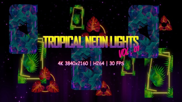 Tropical Neon Lights Vol. 01 4K VJ Loop, Motion Graphics | VideoHive