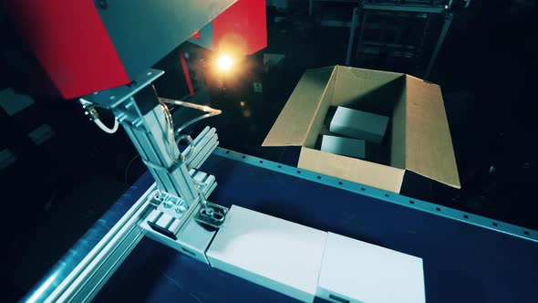 Robotic Tool Is Packing Parcels Into a Carton Box, Stock Footage ...