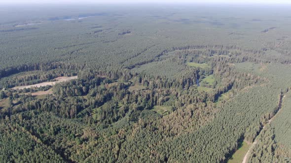 Drone over Augustow Primeval Forest in Poland, Stock Footage | VideoHive