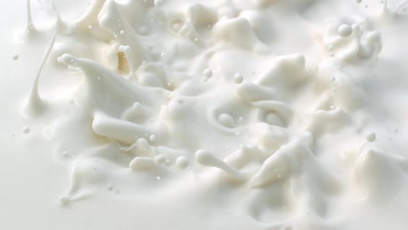 Cream Splash by revleha | VideoHive