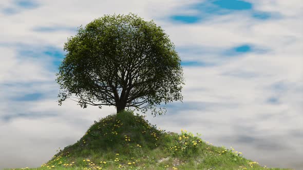 3d render illustration time lapse animation, a lonely branchy tree ...