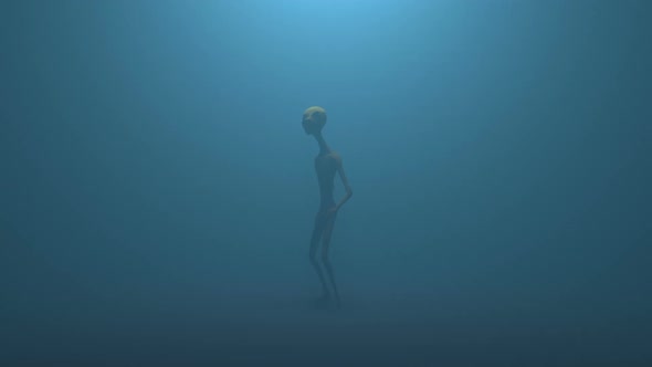 Alien, Motion Graphics | VideoHive