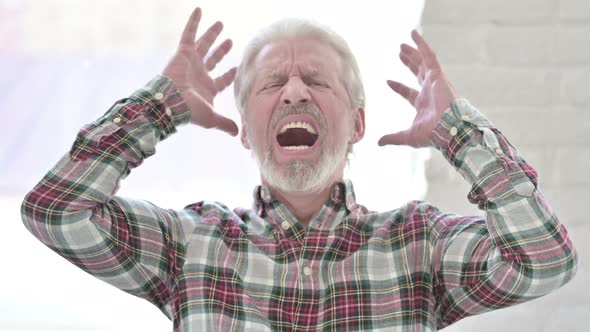 Screaming Casual Old Man in Anger, Stock Footage | VideoHive