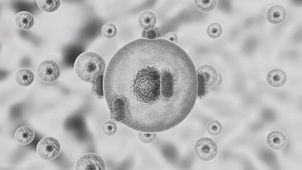 Process infecting cell of pathogenic microorganisms, Motion Graphics