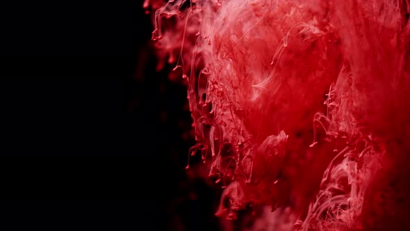 Red Ink Splash in Water on Black Background, Stock Footage | VideoHive