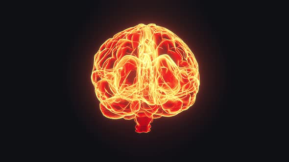 Brain Hologram Visualization Looped Animation, Motion Graphics | VideoHive