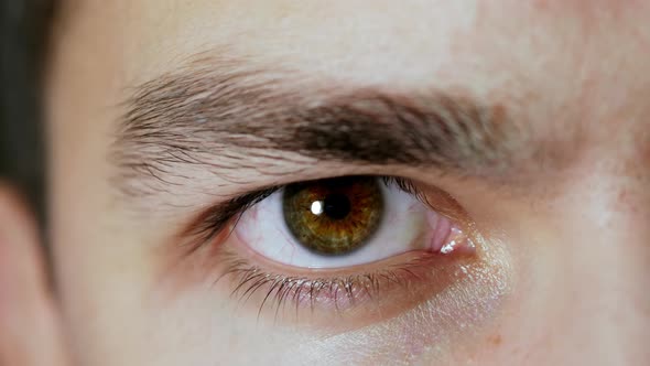 Eye Iris Contracting, Pupil Dilation, From Dark To Light, Stock Footage