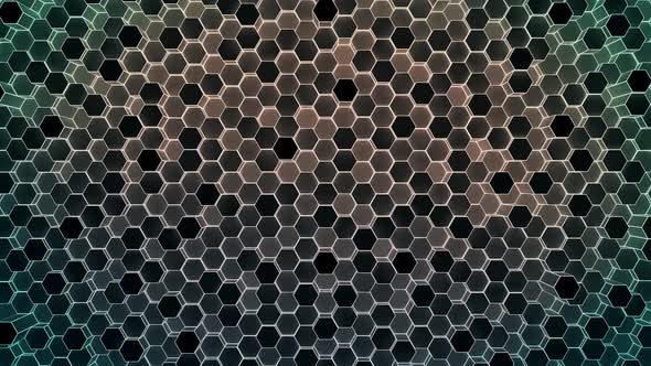 Blue and Brown Honeycomb Pattern, Motion Graphics | VideoHive