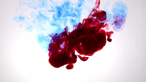 Ink Water Drops Smoke Background Drop Color Explosion Logo Reveal 17 ...