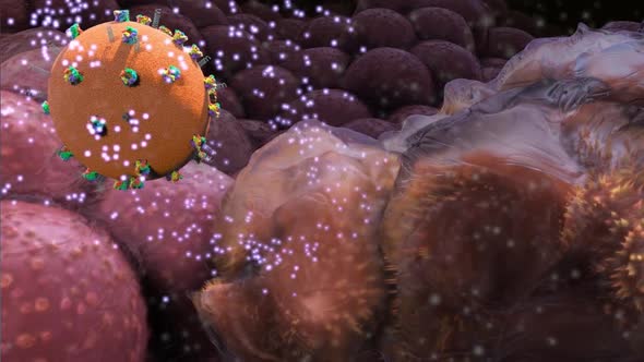 Invasive cancer growth, 3D animation showing tumor invasion into ...