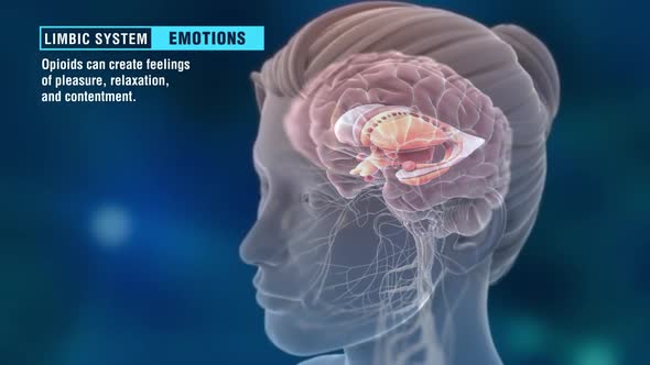 Neuron and synapses, Motion Graphics | VideoHive