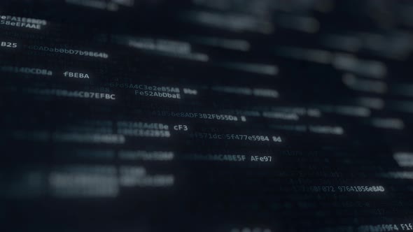 Flashing Computer Code Symbols on the Screen, Motion Graphics | VideoHive