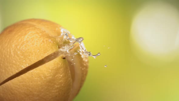 Fresh Lemon Fruit Squirting with Juice in Slow Motion in Green Nature ...