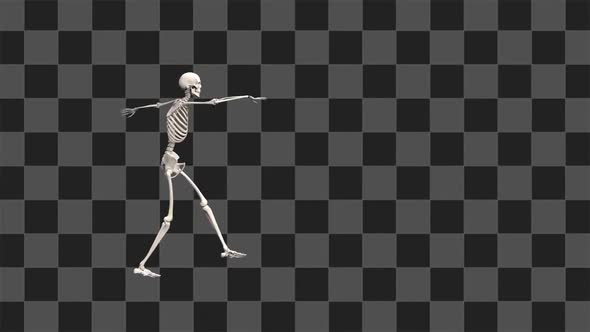 Skeleton Dance Swing Loop, Motion Graphics | VideoHive