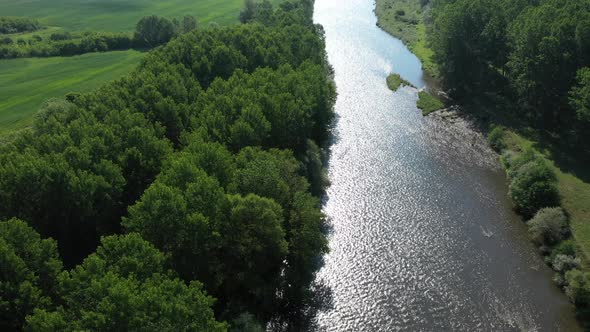 River and Wood, Stock Footage | VideoHive