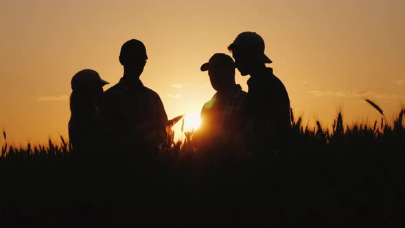 Silhouettes of a Group of Farmers Arguing in a Wheat Field at Sunset ...