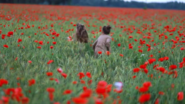 Children Playing in the Poppy Field, Stock Footage | VideoHive
