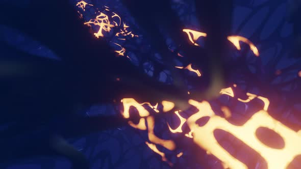 Animation of neurological net system, Motion Graphics | VideoHive